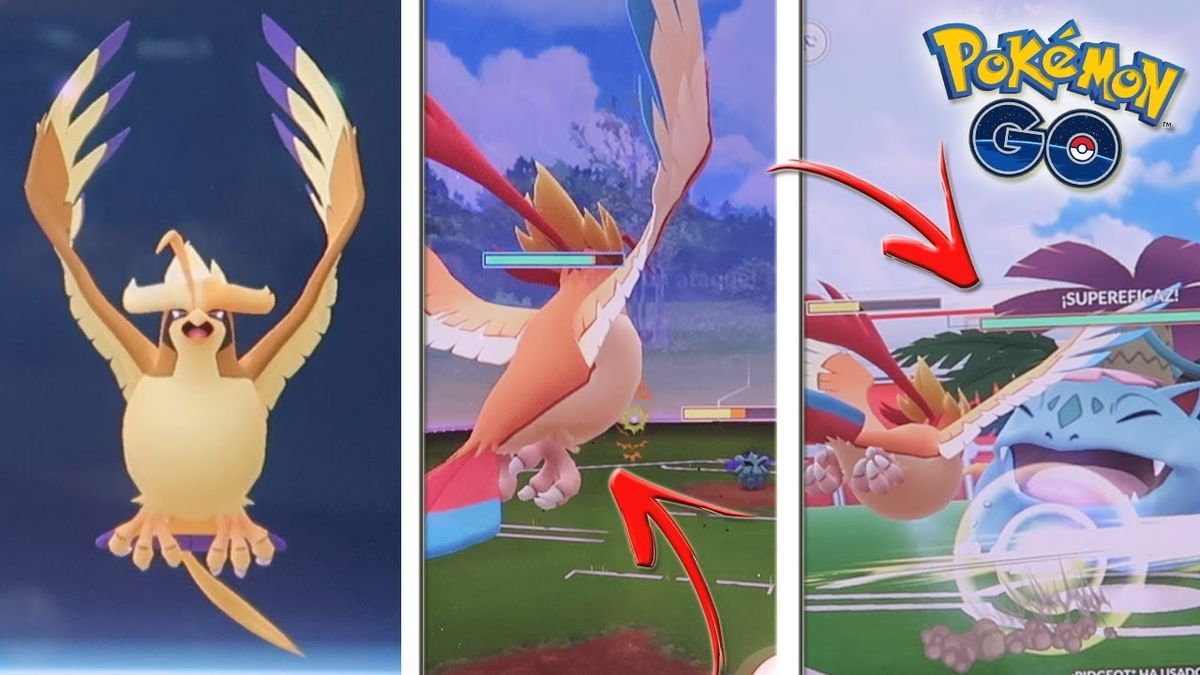 Cómo vencer a Mega Pidgeot en Pokémon GO