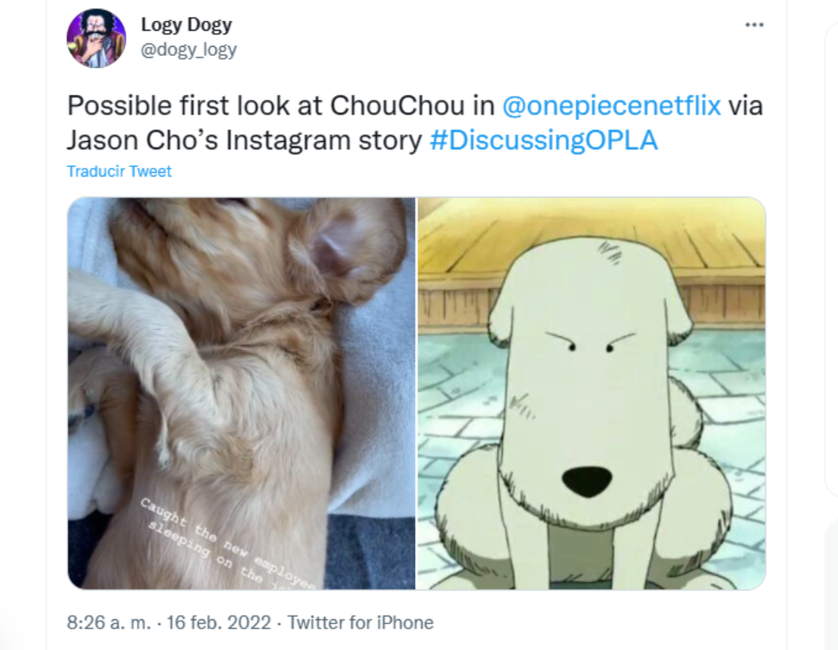 La serie en live action de One Piece en Netflix puede haber presentado ...