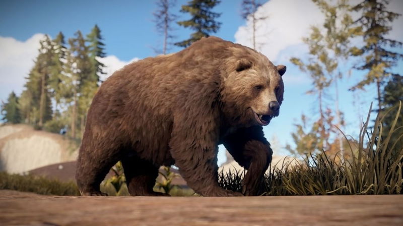 Rust: Todos los animales y cómo eliminarlos