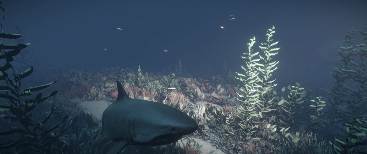 Rust: Todos los animales y cómo eliminarlos