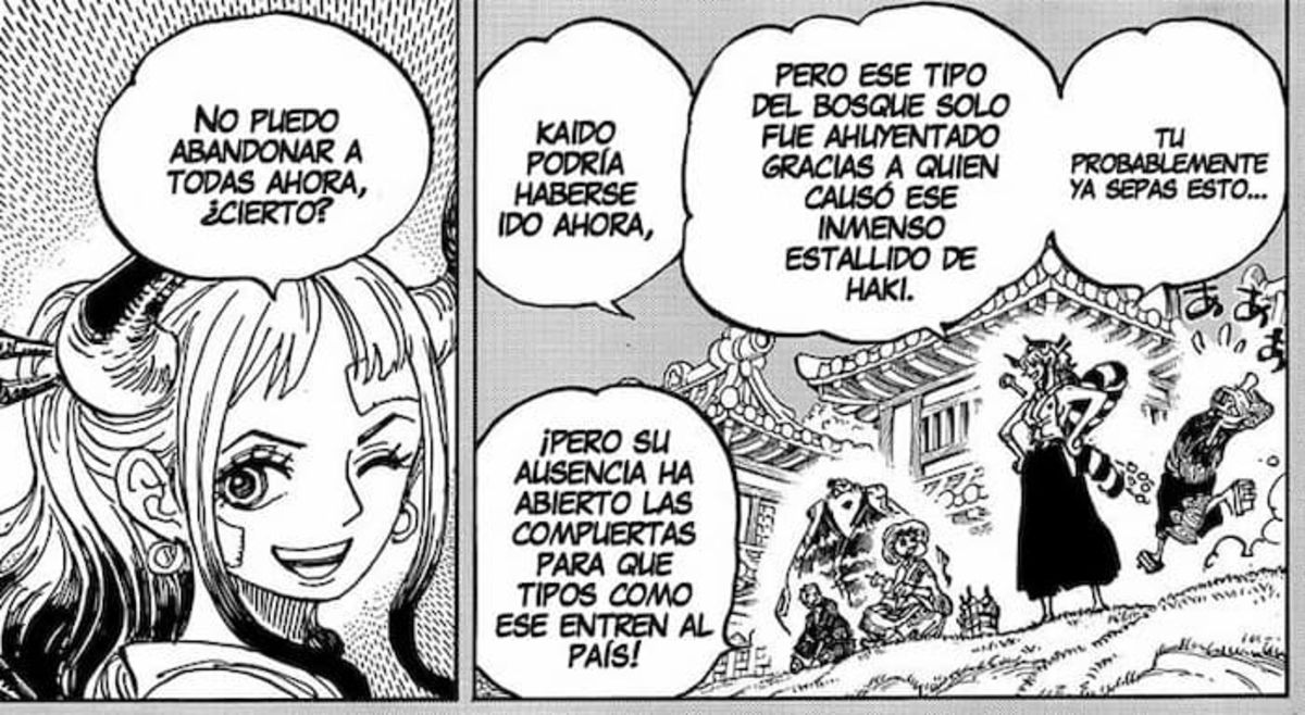 One Piece revela el motivo por el que Yamato no eligió a la tripulación ...