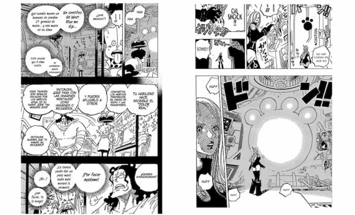 One Piece Presenta La Fruta Del Diablo Más Poderosa Hasta La Fecha