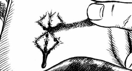 ¿Qué significa la marca del sacrificio en Berserk?