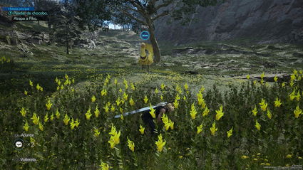 Todos los chocobos de Final Fantasy VII Rebirth y cómo conseguirlos