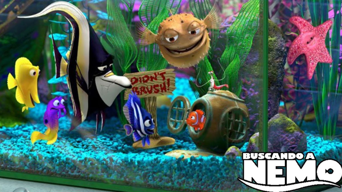 Buscando a Nemo: la historia oculta de Gill explica su obsesión por ...