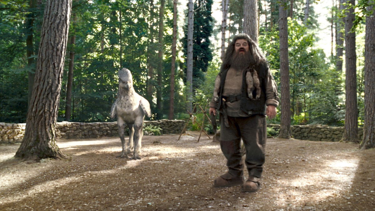 5 curiosidades de Buckbeak de Harry Potter que seguro no conocías