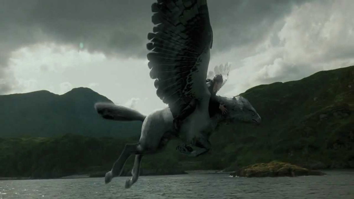 5 curiosities about Buckbeak from Harry Potter that you probably didn't ...